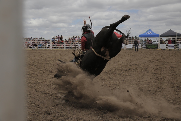 Bunyip Rodeo's record entries | Pakenham Gazette