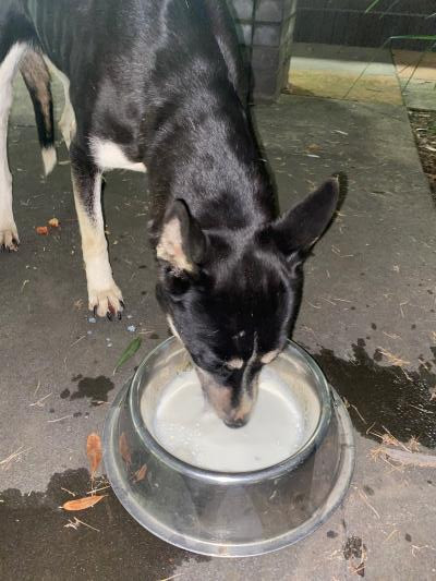 Beatrix_241215_02.jpg | Pakenham Gazette