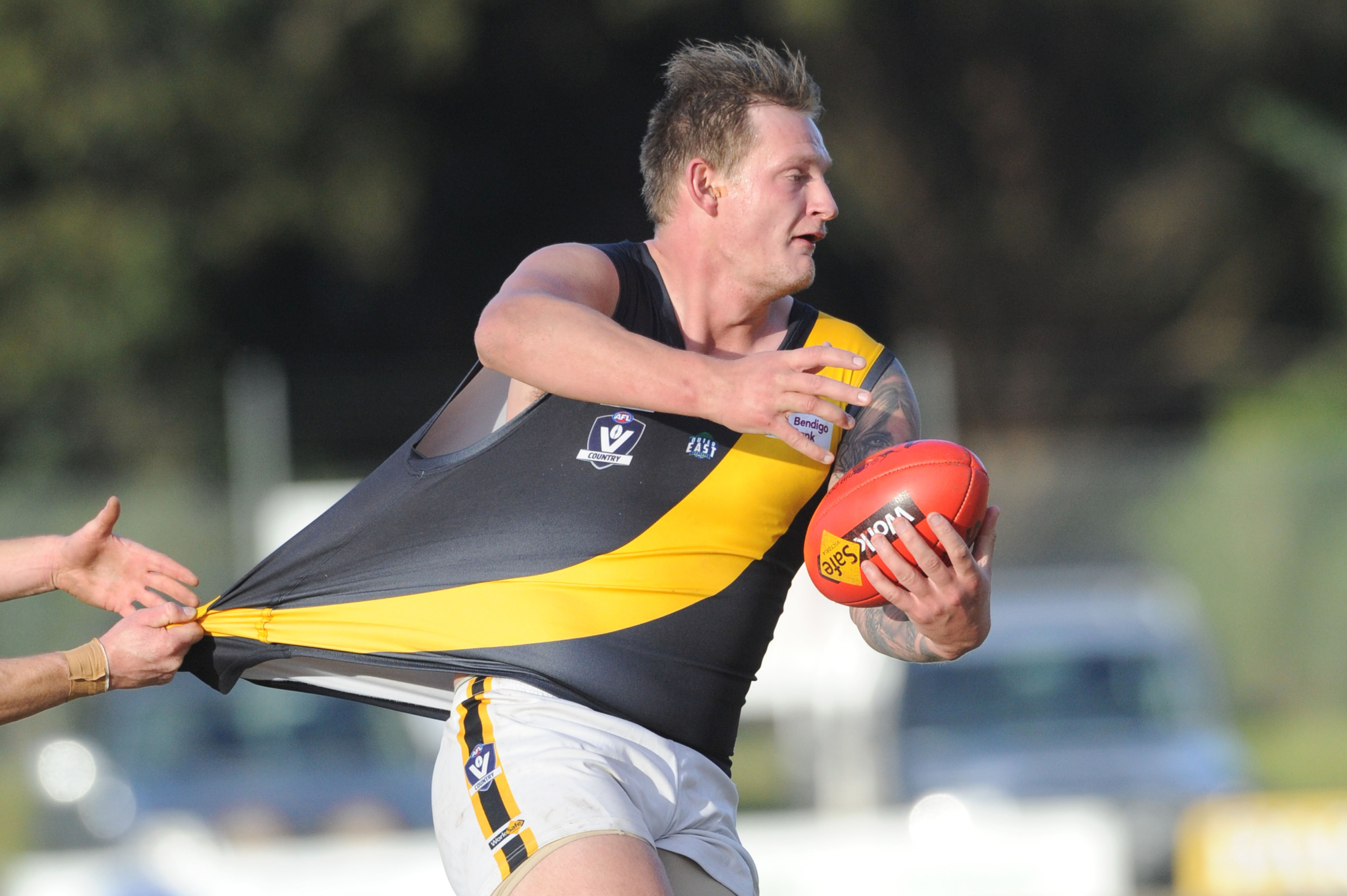 monkey | Pakenham Gazette