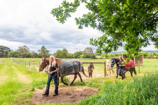 RDA Pakenham providing people with disability a positive outlet ...