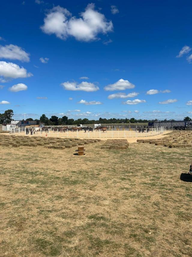 Bunyip Rodeo a success | Pakenham Gazette