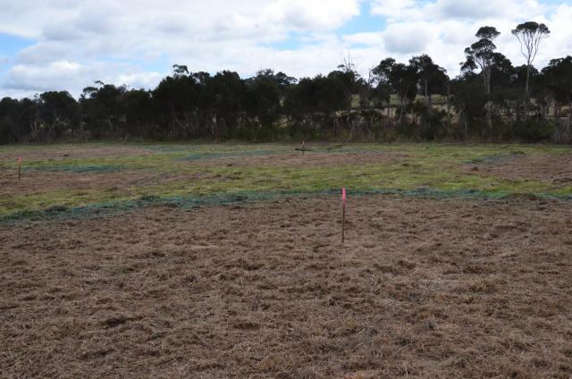 Community day to revamp local land | Pakenham Gazette