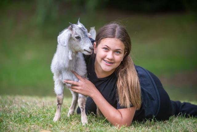 175th Berwick Show a triumph | Pakenham Gazette