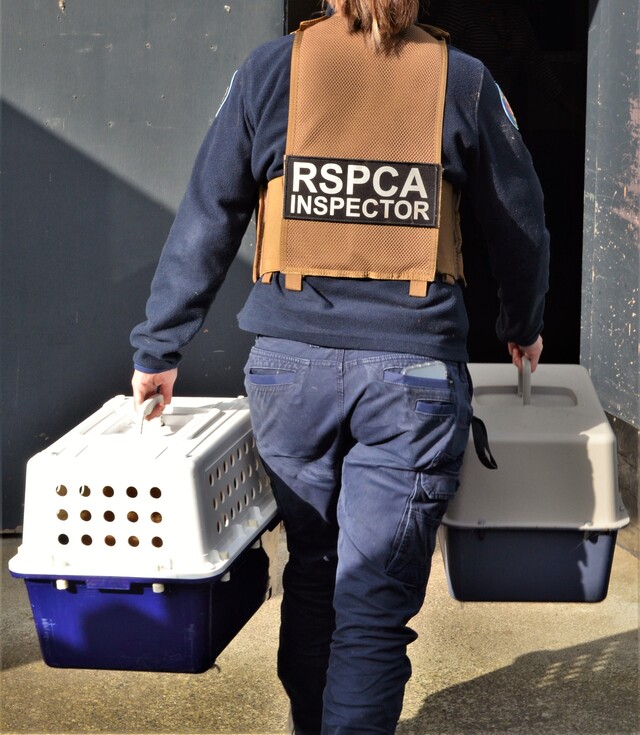 Casey tops animal cruelty reports | Pakenham Gazette